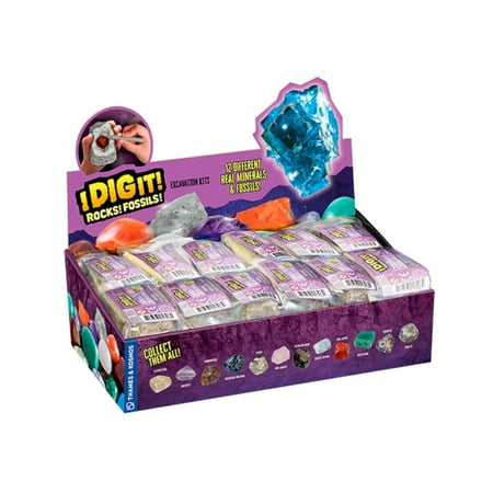 I Dig It! Rocks & Fossils - Assorted (One per Purchase) | Walmart Canada