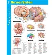 K-2 Chart Sense : Common Sense Charts to Teach K-2 Informational Text ...