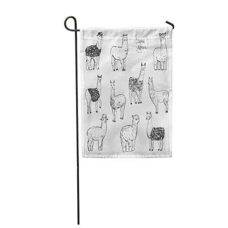JSDART Alpaca Lama Llama Abstract America American Cartoon Clip ...