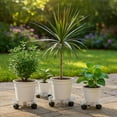 4 Packs 16 Inches Extra-large Clear Plant Caddy Plant Saucers on Wheels ...