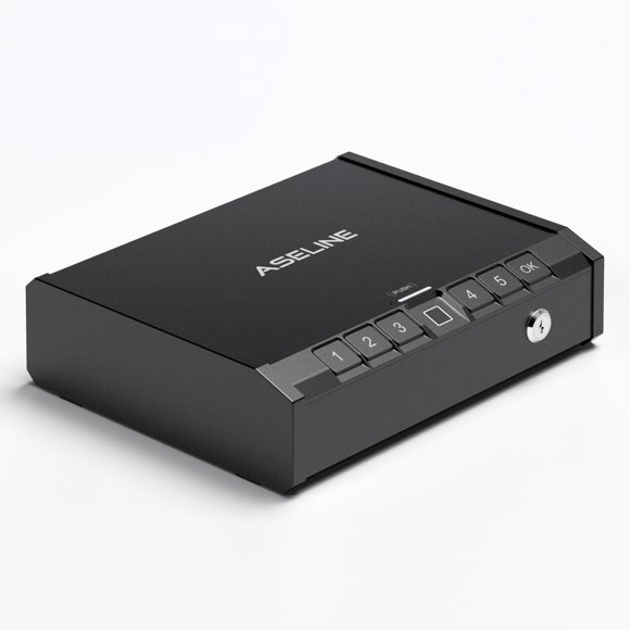 Lock Box For Handguns