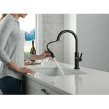 Delta 19867Lf Nicoli 1.8 GPM Single Hole Pull Down Kitchen Faucet ...