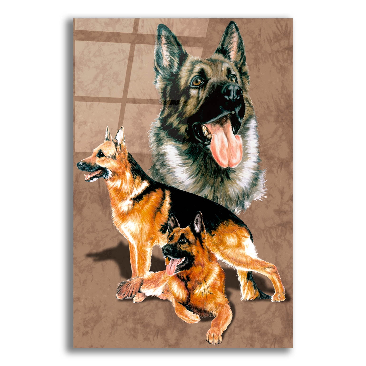 Epic Art 'German Shepherd' by Barbara Keith, Acrylic Glass Wall Art, 12 ...
