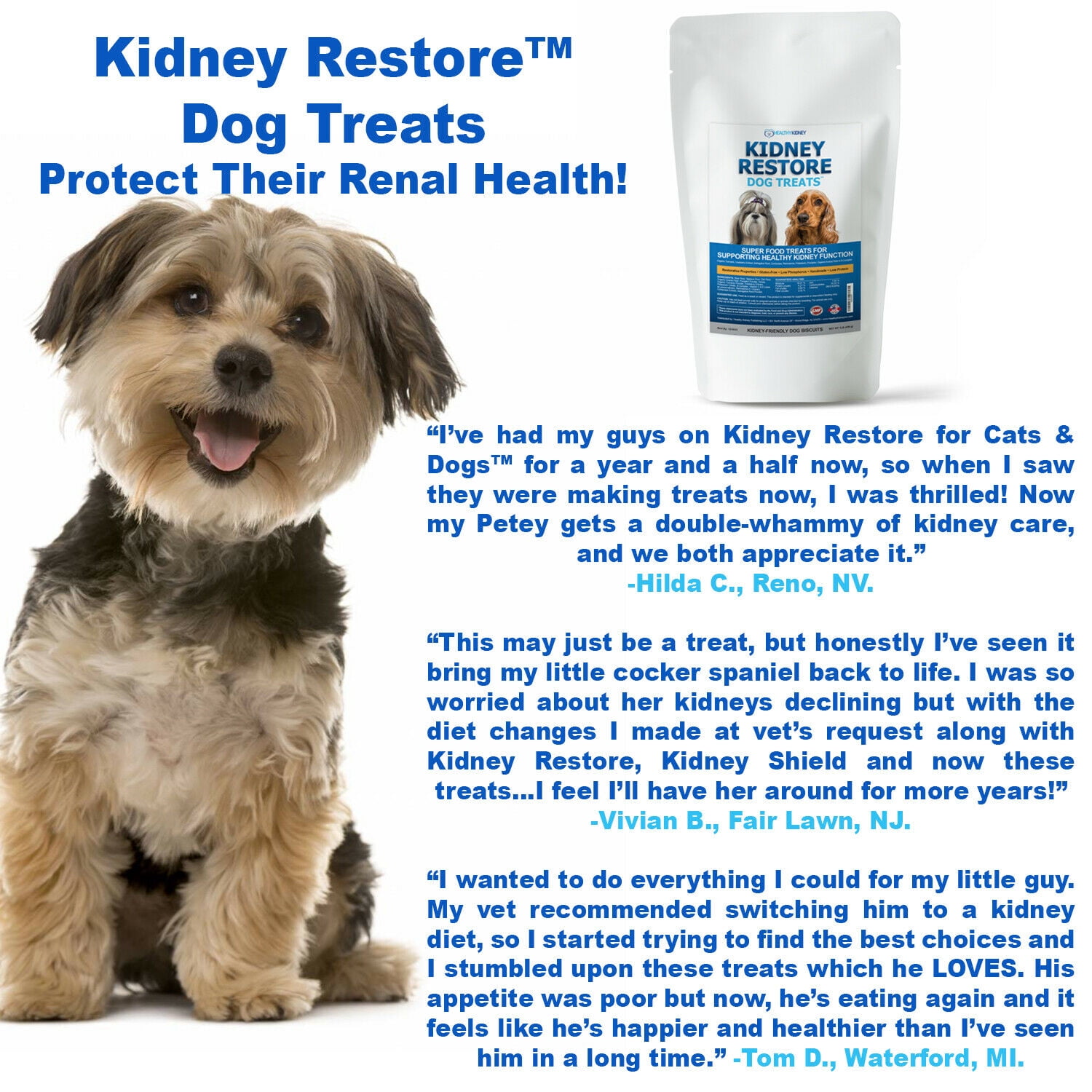Can You Feel Your Dogs Kidneys