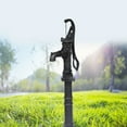 Hand Water Pump Well Pitcher Cast Iron Press Suction Yard Garden Black ...