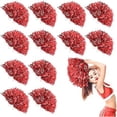 24Pcs Colorful Cheerleader Dancing Pompoms Set Shines Cheerleading Poms ...