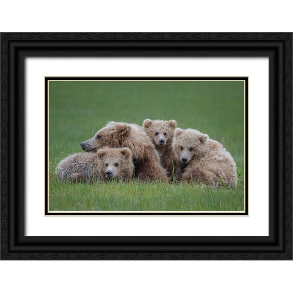 Doyle, Renee 14x11 Black Ornate Wood Framed with Double Matting Museum ...