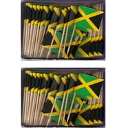 2 Boxes of Mini Texas Toothpick Flags, 200 Small Texan TX Flag ...