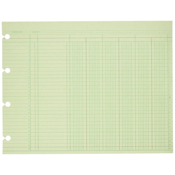 Wilson Jones Columnar Pads