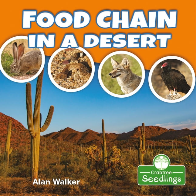 Desert Ecosystem Food Web