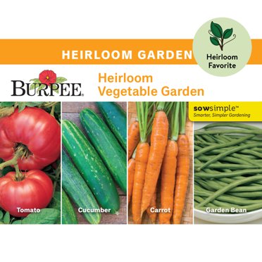 Burpee Bodacious Hybrid Tomato Vegetable Seed, 1-Pack - Walmart.com