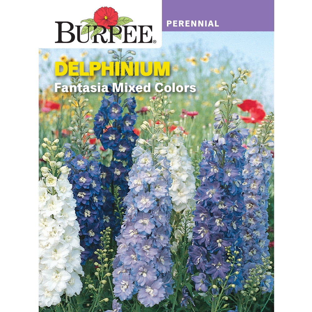 Burpee Fantasia Mixed Colors Delphinium Flower Seed 1 Pack Walmart