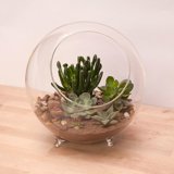 Panacea 10.25" Clear Glass Sphere Terrarium with Feet - Walmart.com