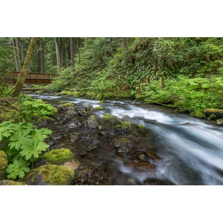 USA, Washington State, Olympic National Forest Bridge over Big Quilcene ...