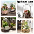 1pc Glass Dome Cover Decorative Display Case Cloche Bell Jar Terrarium ...