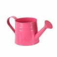Miulika Metal Mini Watering Can Planter Flower Container Rustic ...