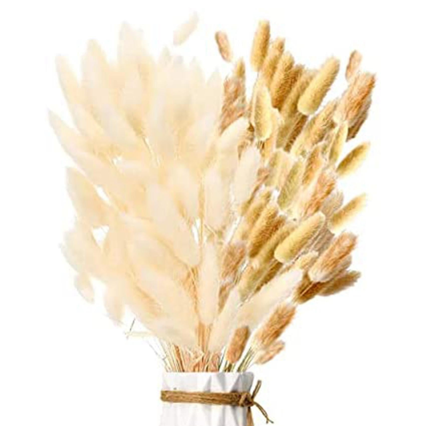 Click here for Geecy Pampas Grass Dried Pampas Grass Fluffy Frond... prices