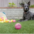 Hyper Pet Tennis Balls for Dogs (Safe Dog Tennis Ball for Exercise and ...