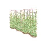 Tall Expandable Pea Trellis - Walmart.com
