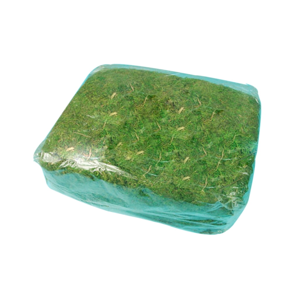 Click here for Unbranded Artificial Dried Moss Artificial Reindee... prices