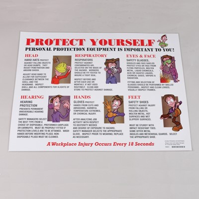 Prinzing Personal Protective Equipment Laminated Safety Poster (1 Unit ...