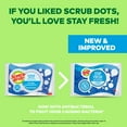 Scotch-Brite Scrub Dots Non-Scratch Scrub Sponge, Rinses Clean, For ...