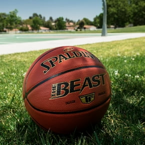 Wilson Basketballs | Walmart.ca