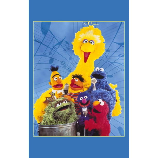 Sesame Street Storage