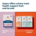 Uqora UTI Emergency Kit - Comes with 2 Urinary Tract Infection Test ...