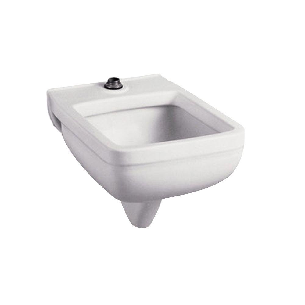 American Standard Clinic Wall Mounted Service Sink in White - Walmart ...