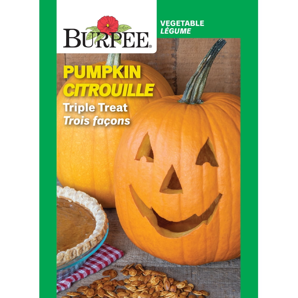 Click here for Burpee Canada Burpee Triple Treat Pumpkin prices