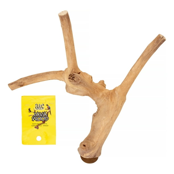A & E Cage Company Java Wood Multi-Branch Bird Perch, Small - Walmart ...