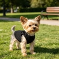 Apparel Stylish And Cozy Outfits For And Cats Breathable Soft Everyday ...