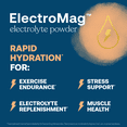 True Grace ElectroMag - 16 Stick Packs - Grapefruit - Electrolyte ...