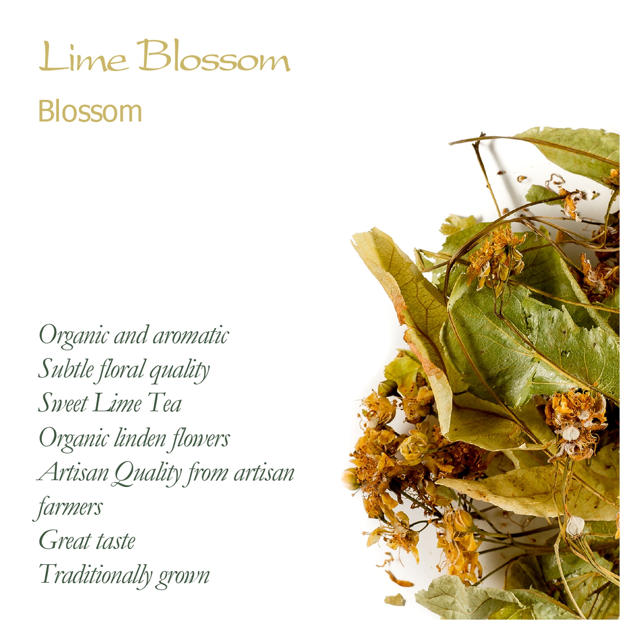 Linden Flower Tea Benefits | Best Flower Site