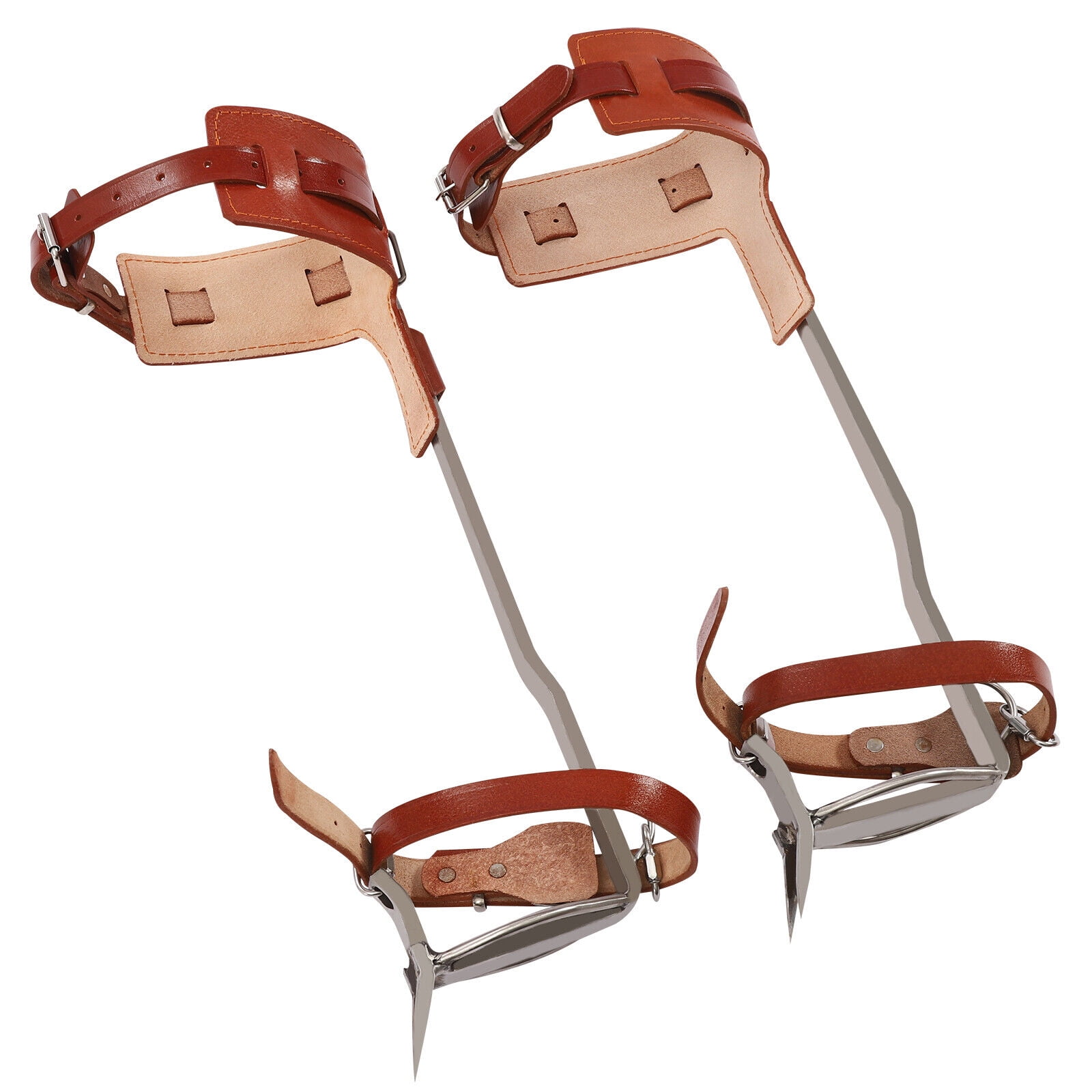 Notch Gecko Steel Climbers Pole Climbing Spikes Non-Slip Tree Climbing ...