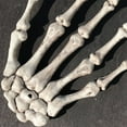 2Pack Halloween Skeleton Hand Bone Skeleton Desktop Decoration Weird ...