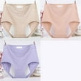felwors Women's Plus Size 3-Pack Leakproof Panties - Cotton Tummy ...