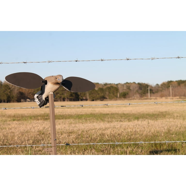 Avian X Decoys Mojo Dove-A-Flicker Spinning Wing Dove Decoys For Dove ...