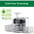 Cold Press 365 Slow Masticating Vegetable and Fruit Juice Extractor and ...