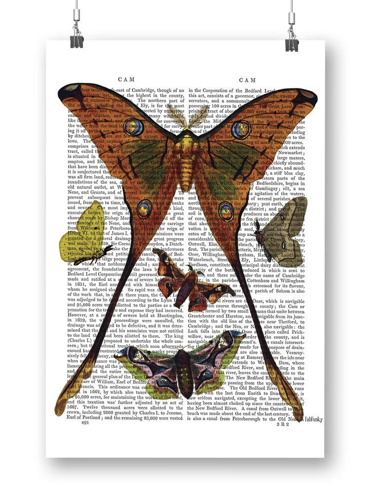 Moths In Paper Poster - Fab Funky Designs, - Walmart.com