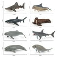 Mini Sea Animal Action Figure Dolphin Shark Whale Turtle Marine ...