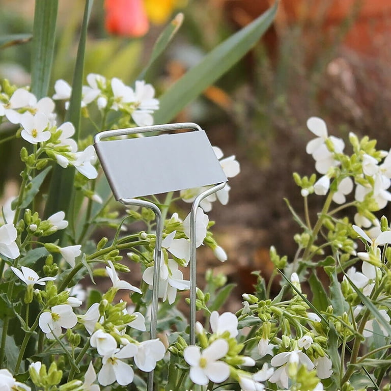 Metal Plant Tags Labels
