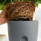 Washranp Self Watering Pots for Indoor Plants,Double Layer Water ...