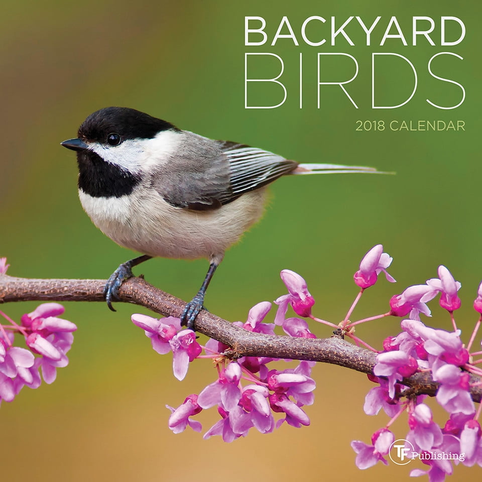 2018 Backyard Birds Mini Calendar - Walmart.com - Walmart.com