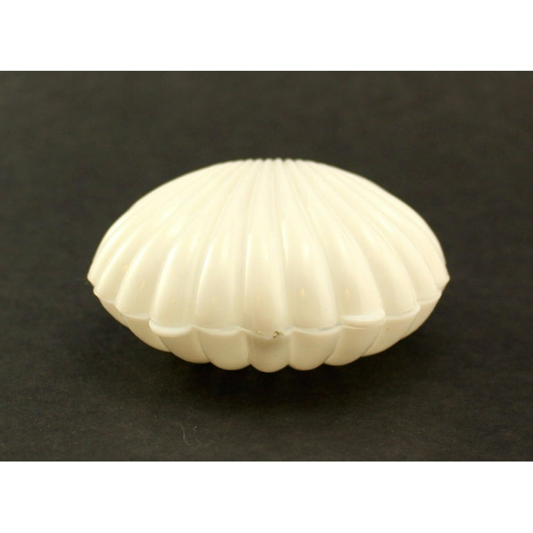 White Clam Shell