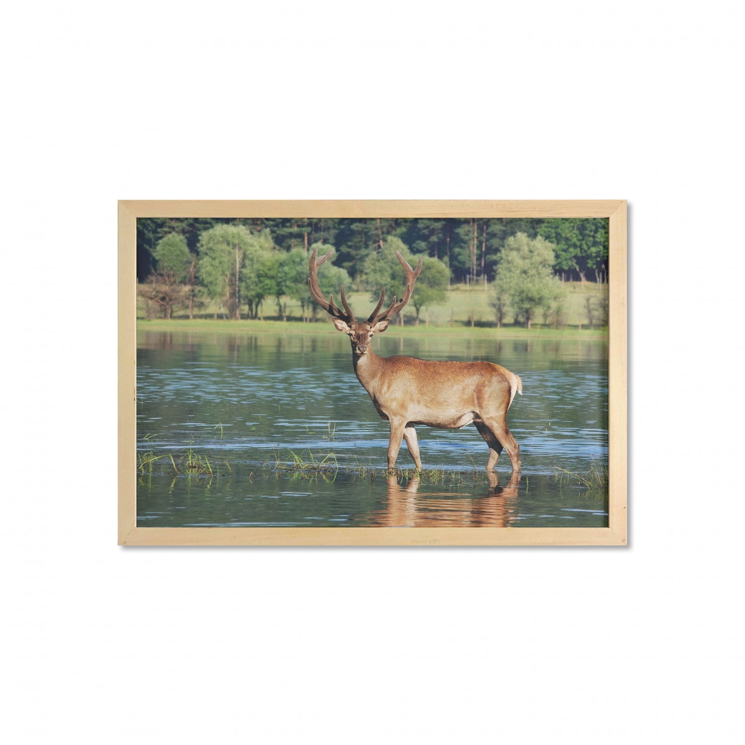 Habitat Poster Frames