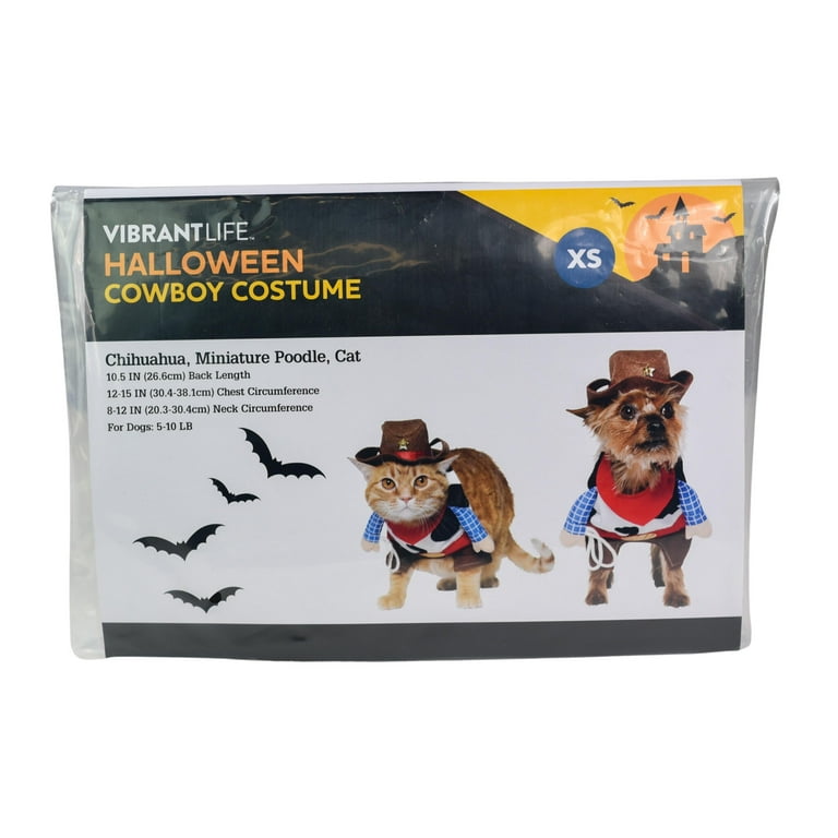 Dog Box Costume