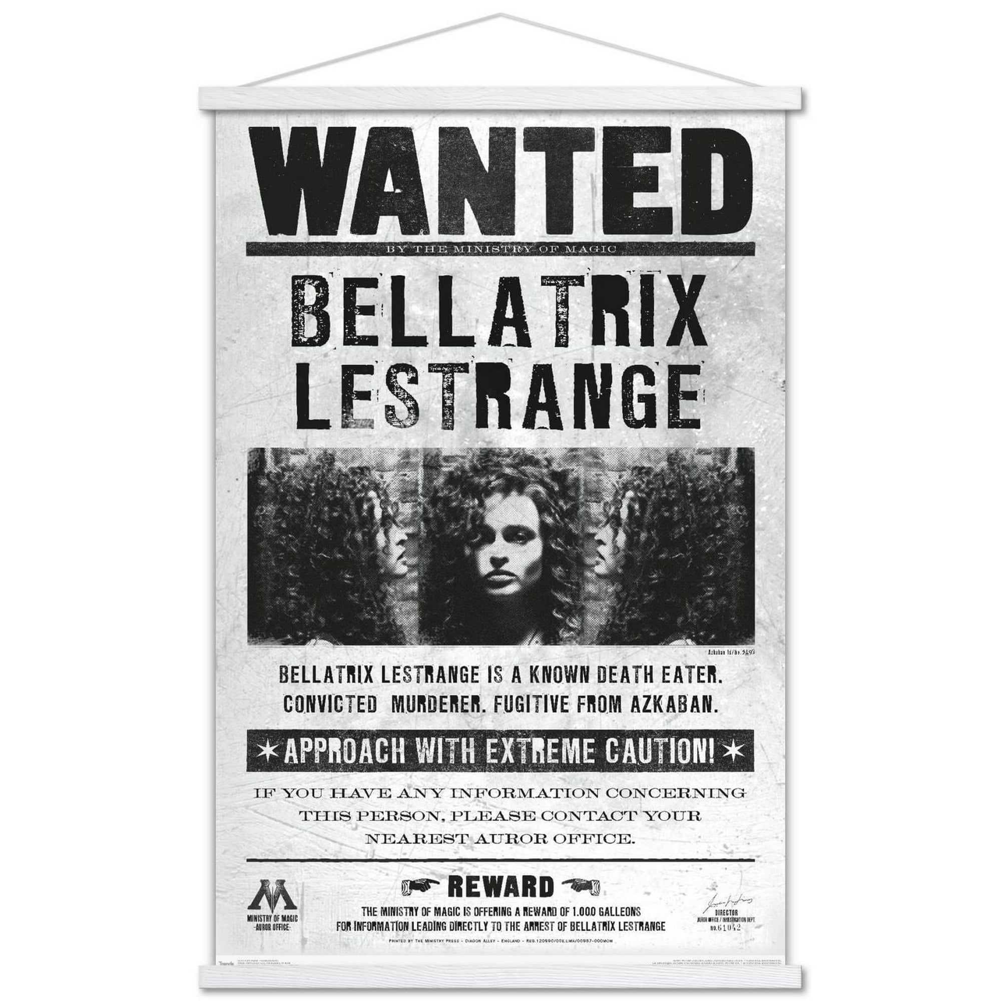 Click here for Trends International The Wizarding World: Harry Po... prices