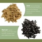Indoor Natural Dirt, Fern Plant Soil Mix (2 Quarts) for Container ...